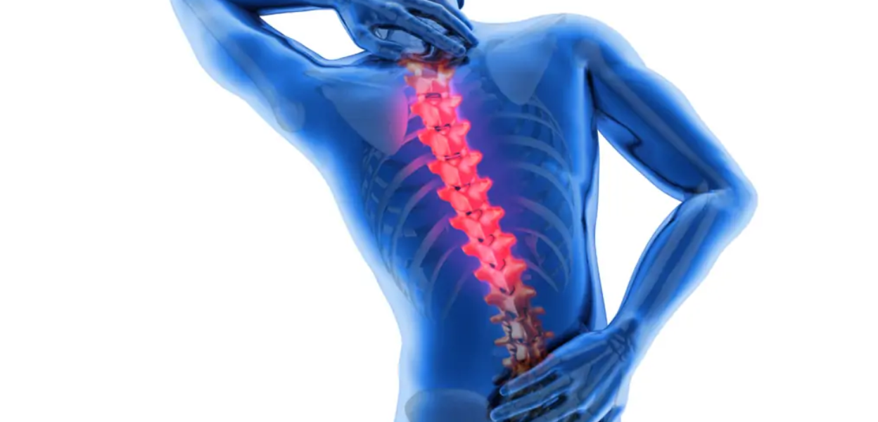 CellBell Chair That Helps With Back Pain | FlexGlimpse